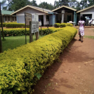 BLAME GAMES: Kimilili MOH emerges guns blazing over Kimilili MP ...